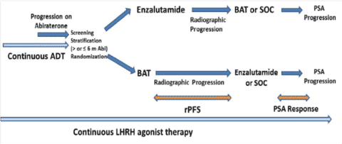 BAT Protocol Schema flowchart - Prostate Cancer Free